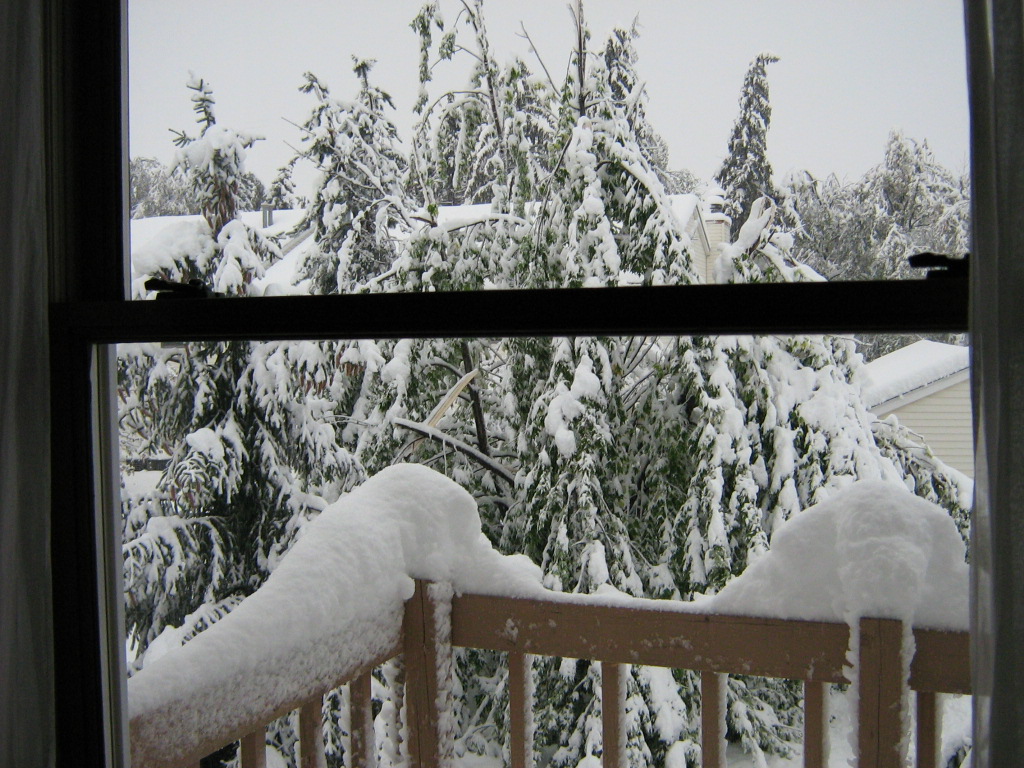 October Surprize snowstorm
